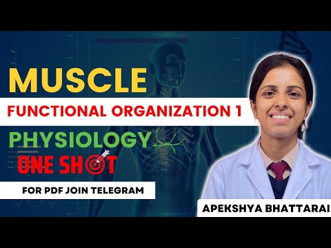 1. Functional Organization Of Muscle / MSK Physiology Introduction 🥰 ...