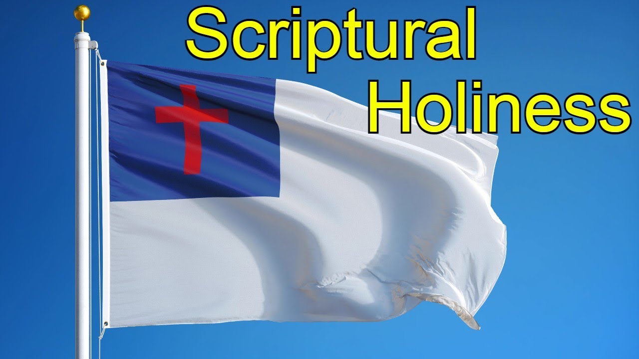 Raising the Standard of Scriptural Holiness By Rev William M Cope Camp ...