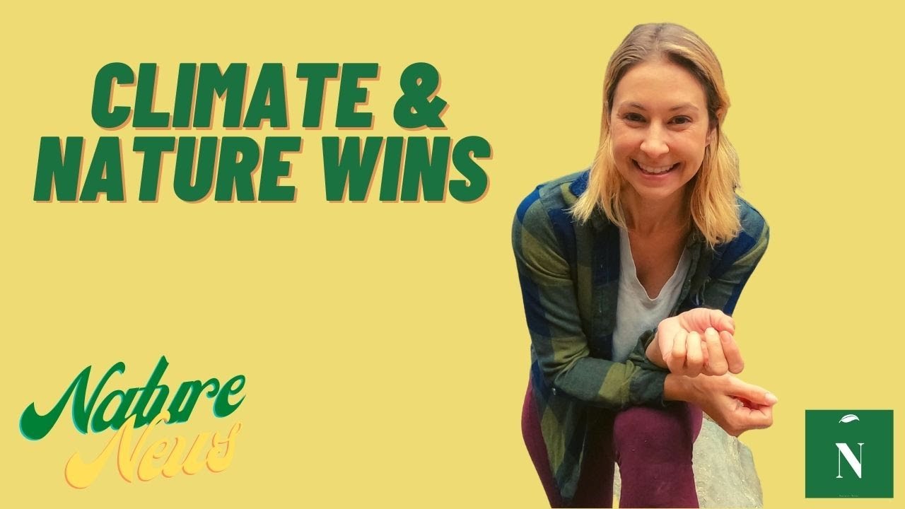 Nature News - Things We Won in 2021 in Climate, Nature and Wildlife ...