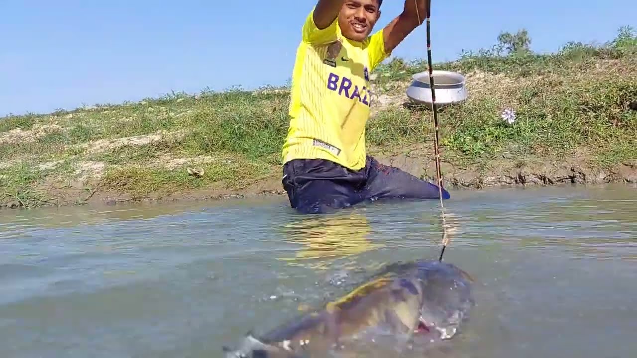 Best Fishing Video Popular fish Trapping System in Beautiful Village ...