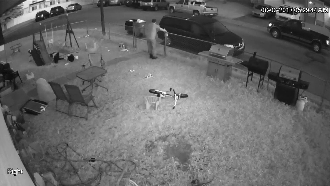 NEW! Fence Jumping FAIL! 2017 August - YouTube