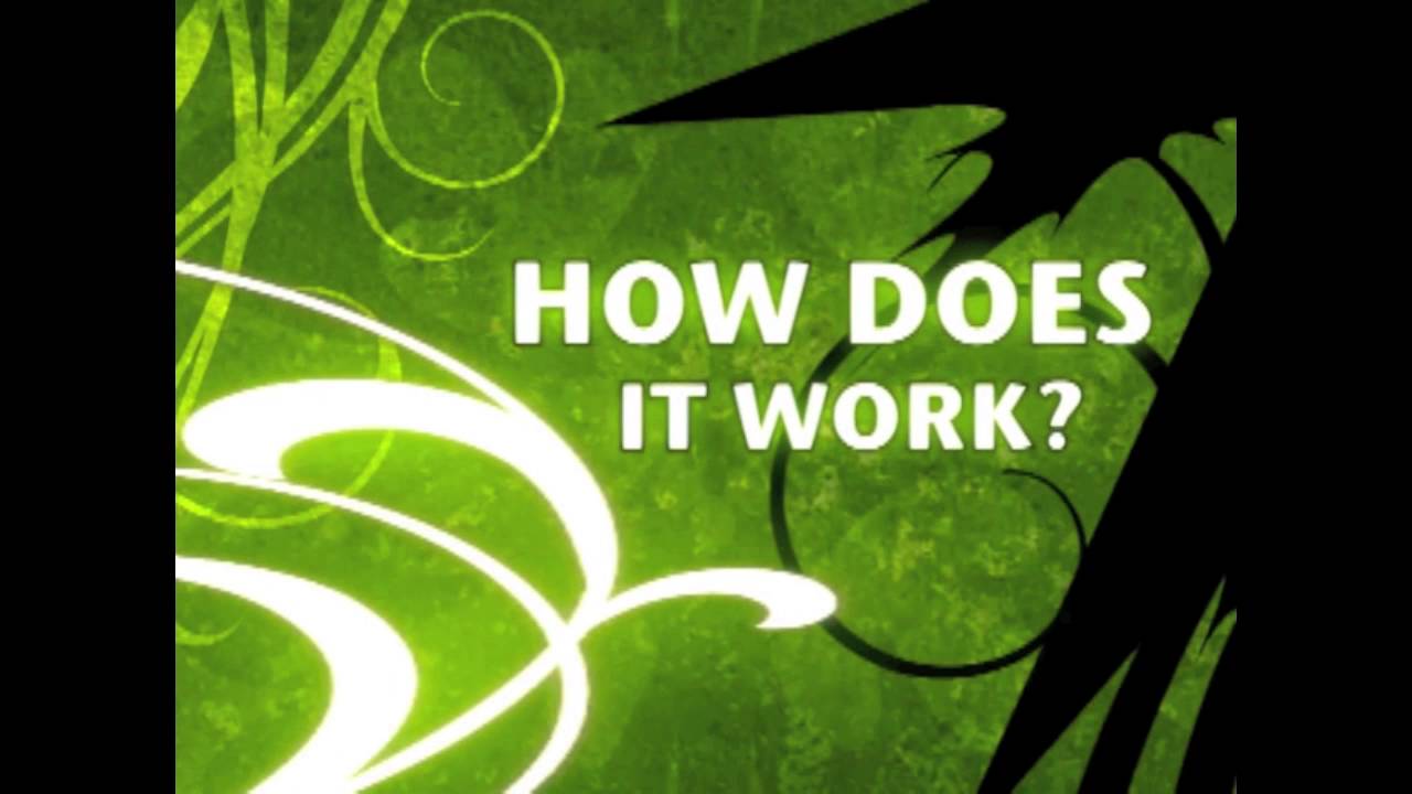 How Slime Works - Spanish (MX) - YouTube