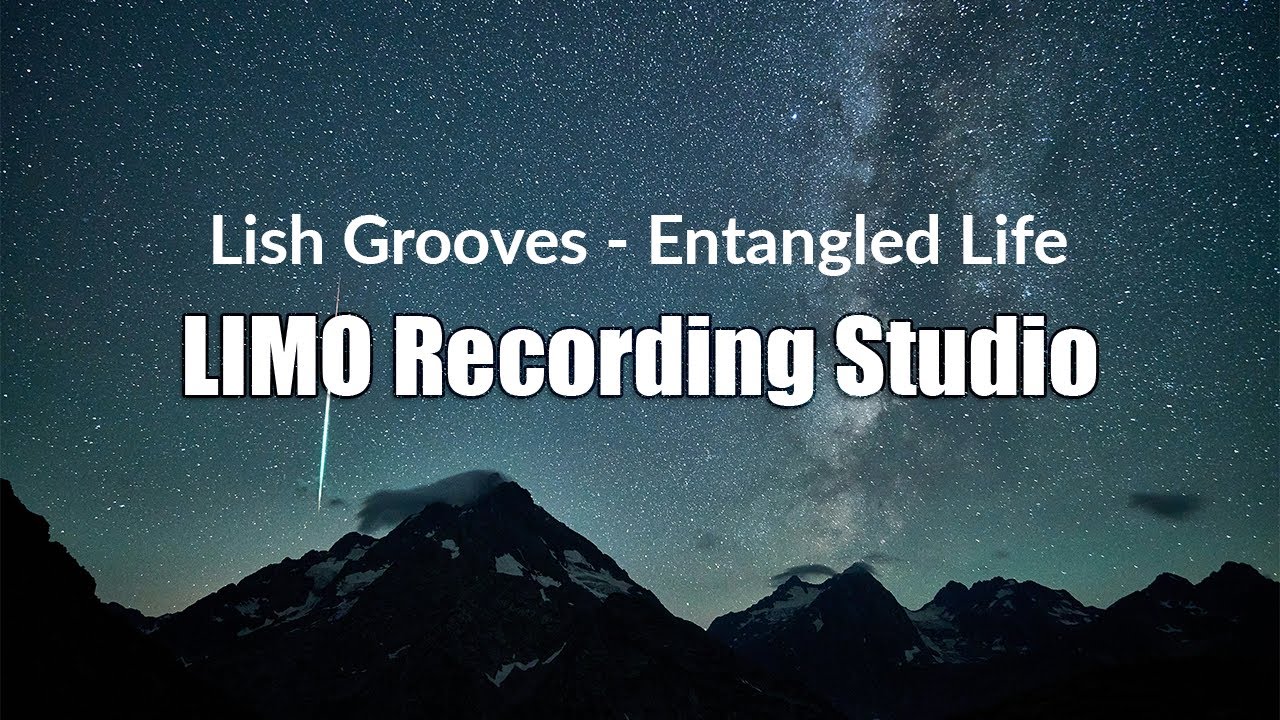 Lish Grooves - Entangled Life (No Copyright Music) - YouTube