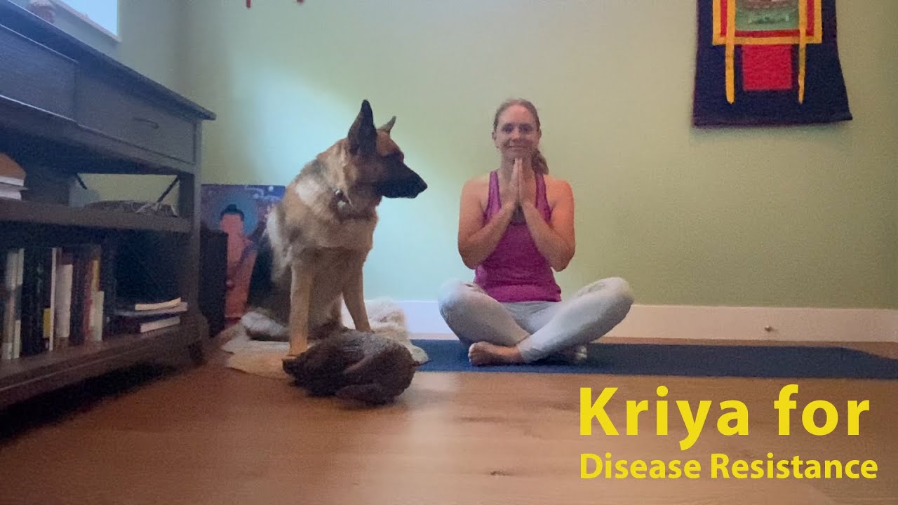 Kriya for Disease Resistance - YouTube