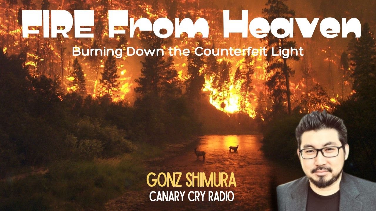 "Fire From Heaven: Burning Down the Counterfeit Light."Gonz Shimura of ...
