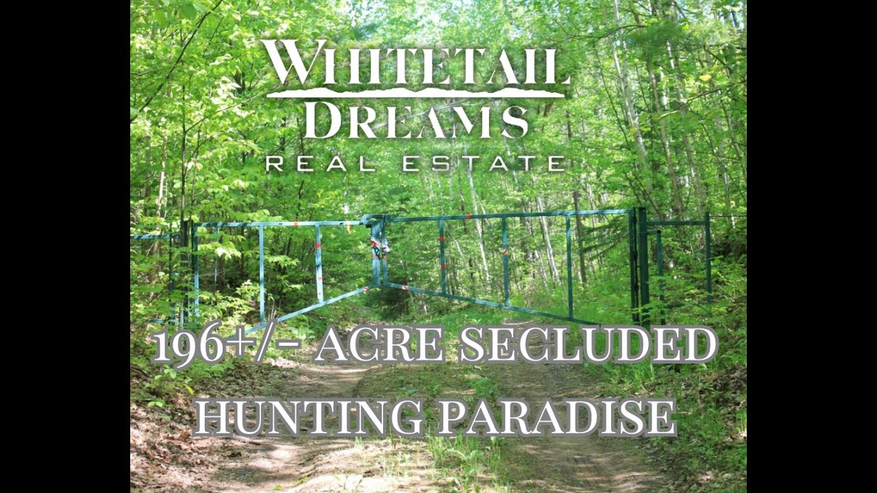 Secluded Hunting Paradise in Wisconsin! - YouTube