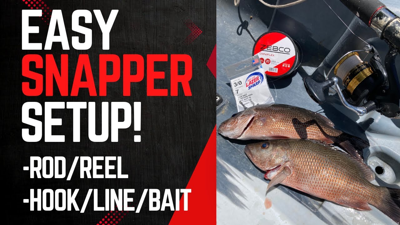 EASY SNAPPER SETUP - SUMMERTIME MANGROVE SNAPPER #fishing #outdoors # ...