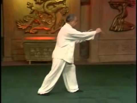 Yang Family Tai Chi Chuan Section (II) - YouTube