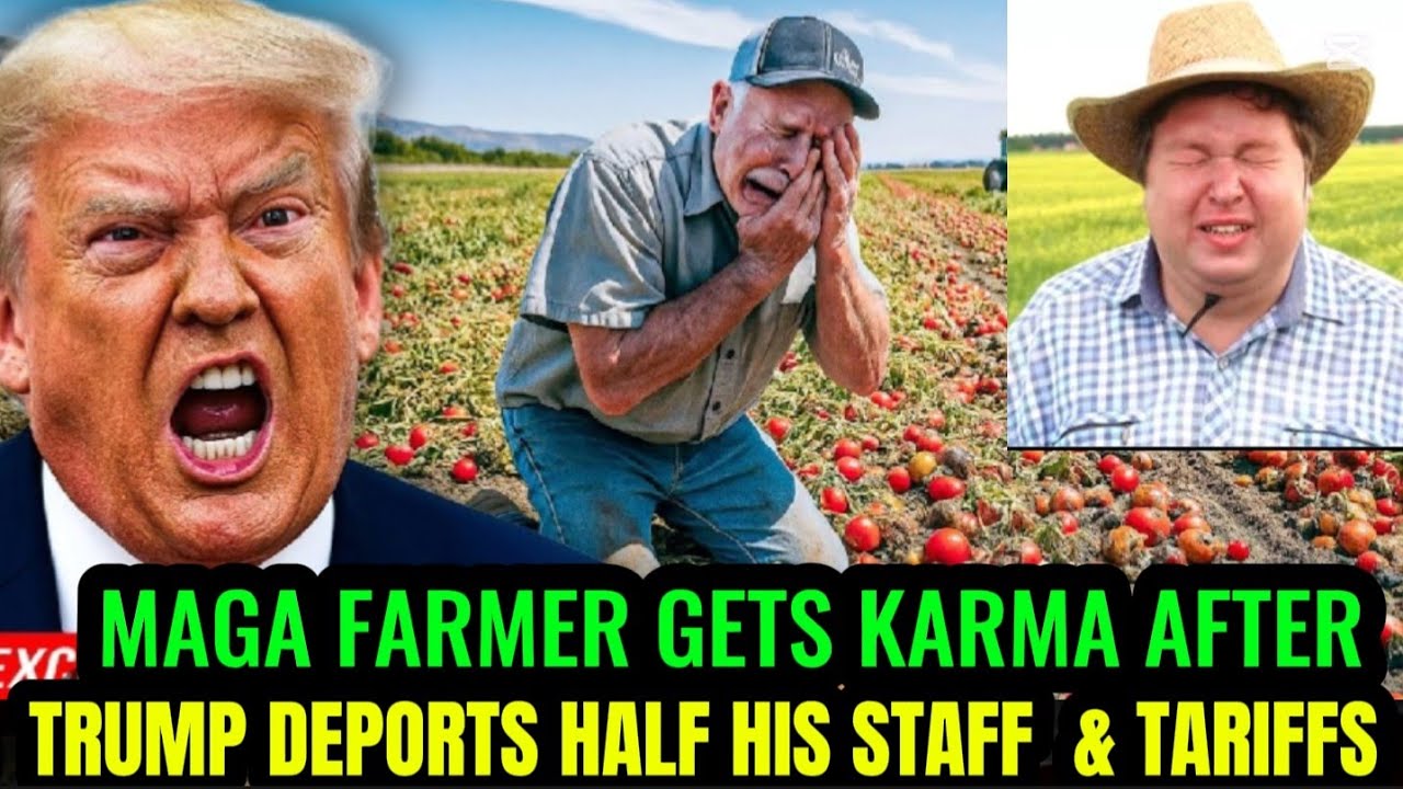 MAGA FARMERS GOING BANKRUPT & LOSING THEIR FARMS MASSIVELY AFTER TRUMP ...