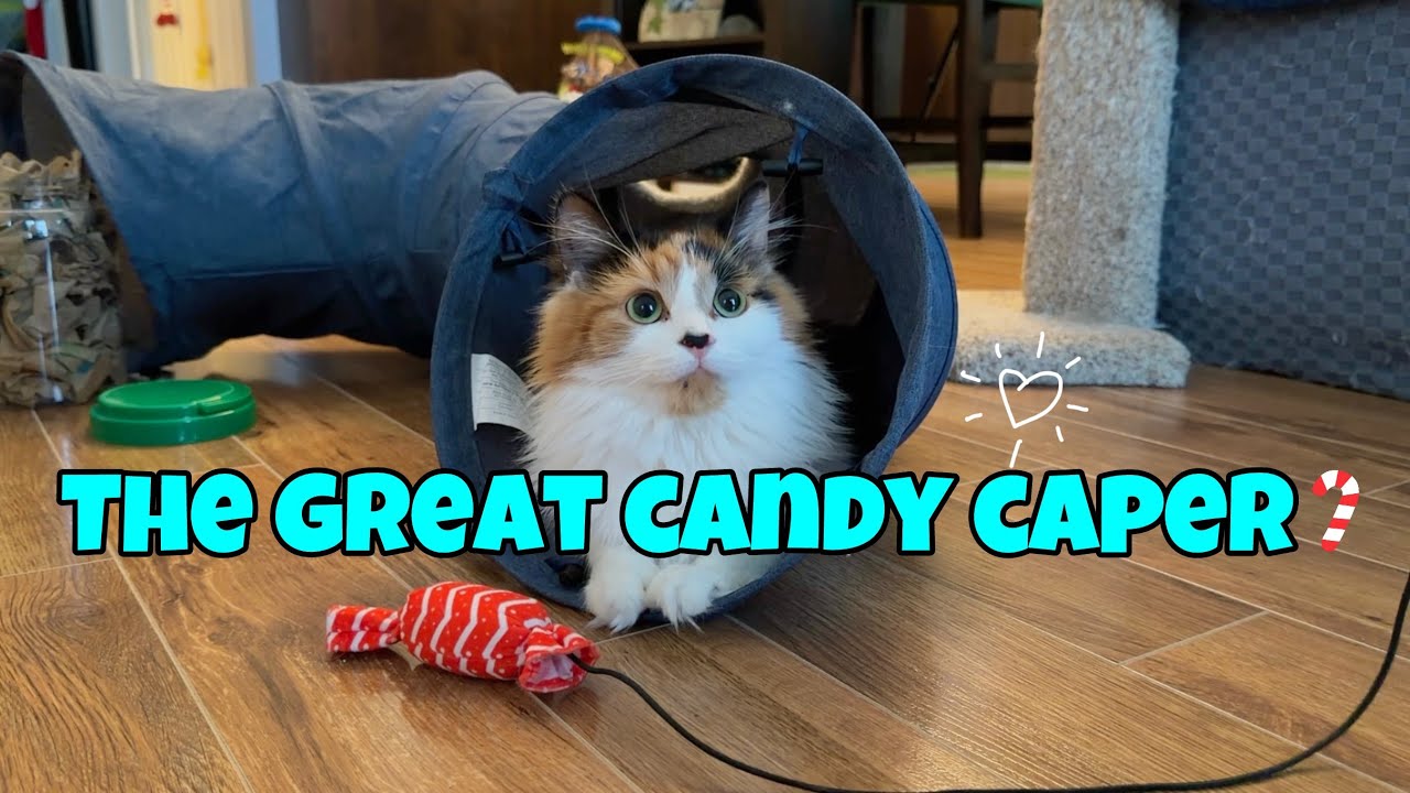The Great Candy Caper 🍬 - YouTube
