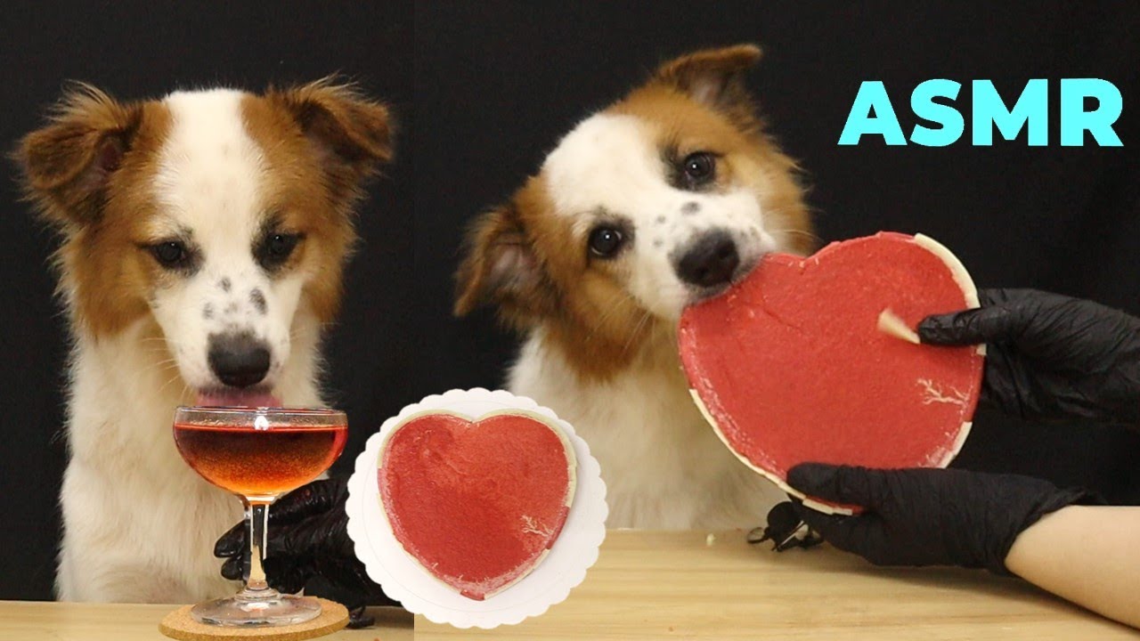 ASMR Dog eating Heart Shape Frozen Treat Valentine's Day | Satisfying ...