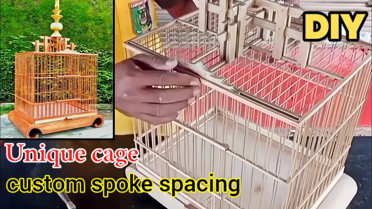 Practice making a unique cage with custom bar spacing - YouTube