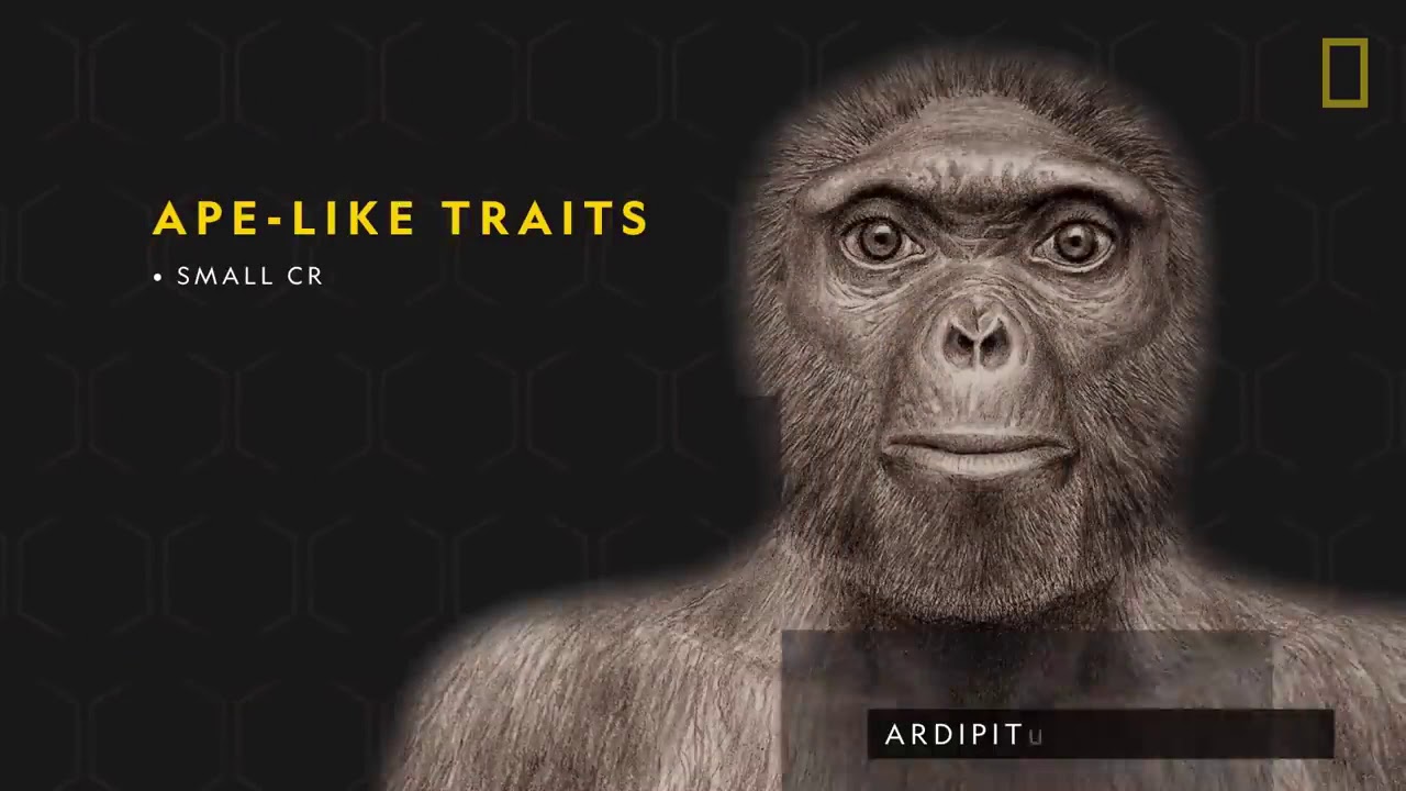 Human Origins 101 National Geographic - YouTube