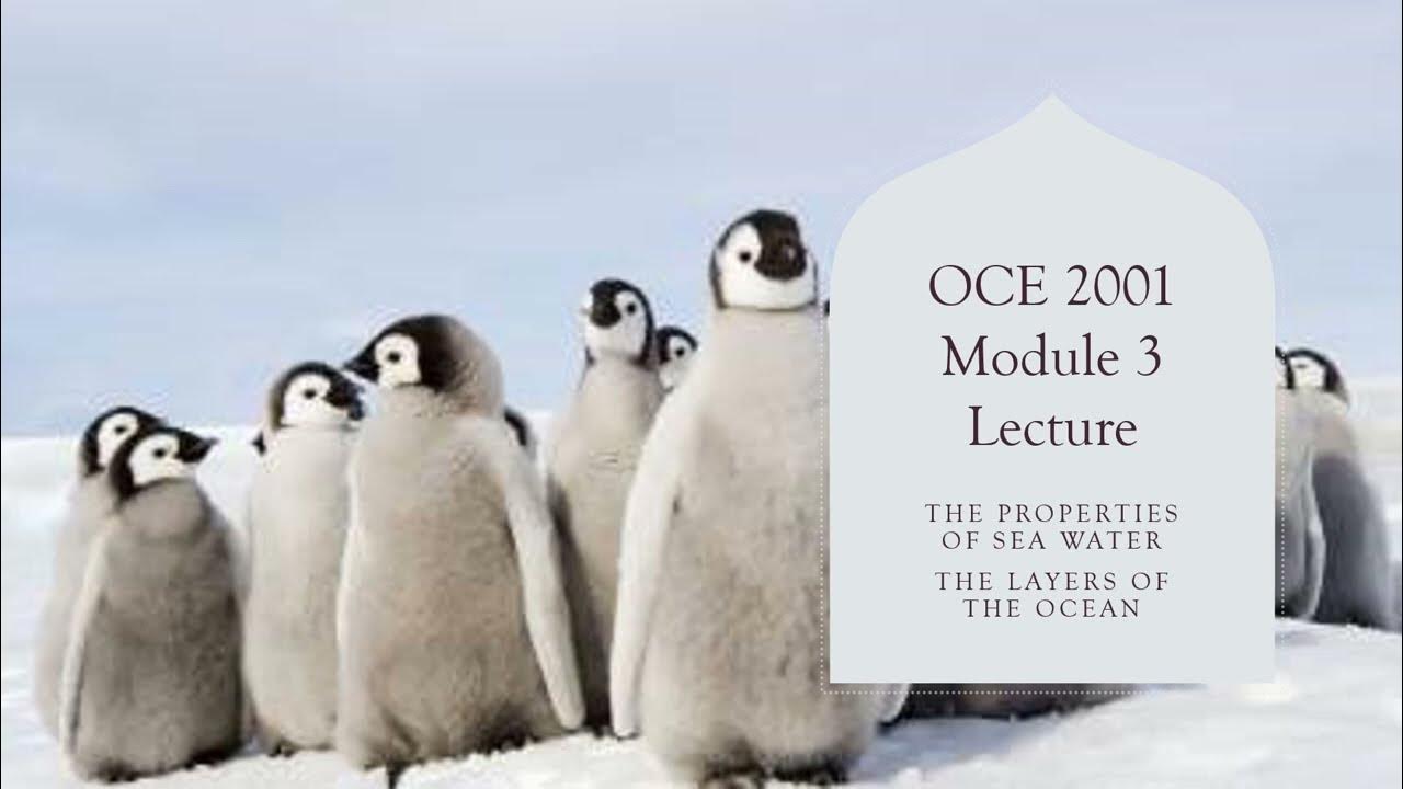 OCE 2001 Module 3 Lecture Video - YouTube