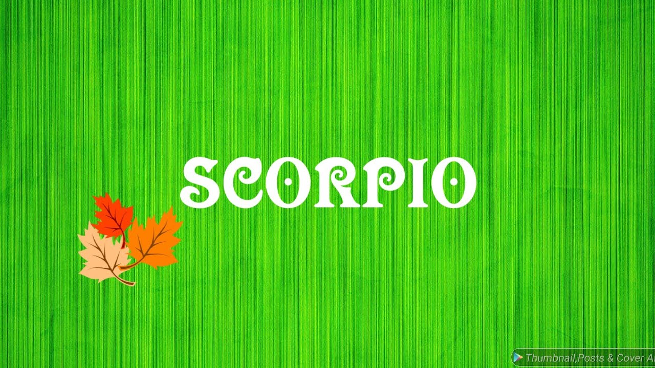 SCORPIO |Your person current feelings and actions |June 21st to 30th.|💝 ...