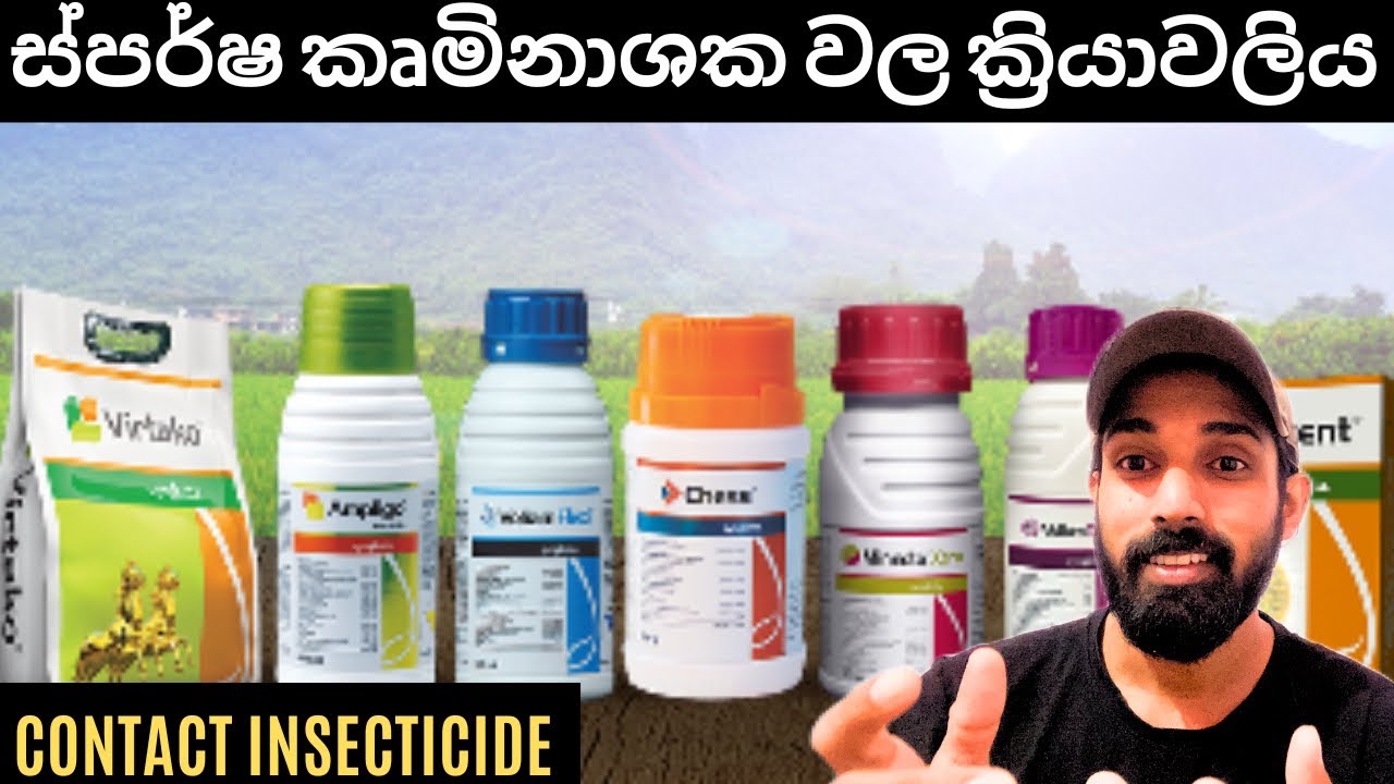 ස්පර්ෂ කෘමිනාෂක වල ක්‍රියාකාරිත්වය, The action of contact insecticides ...