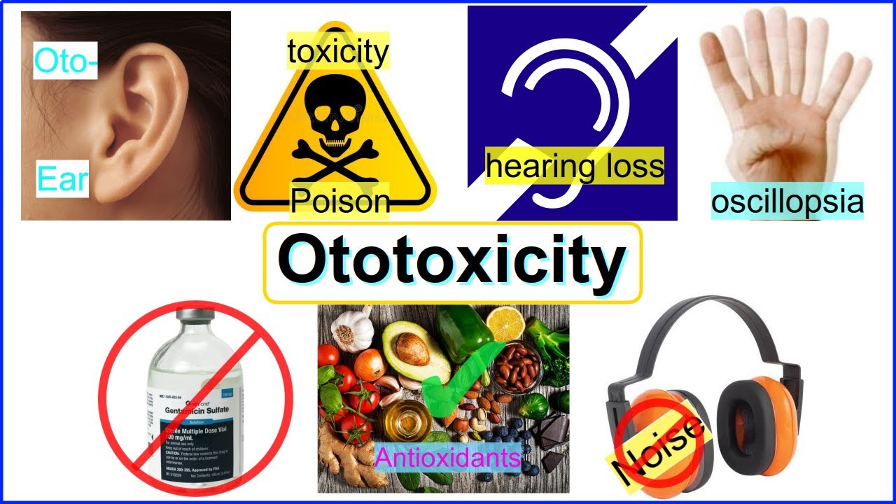 ototoxicity - YouTube