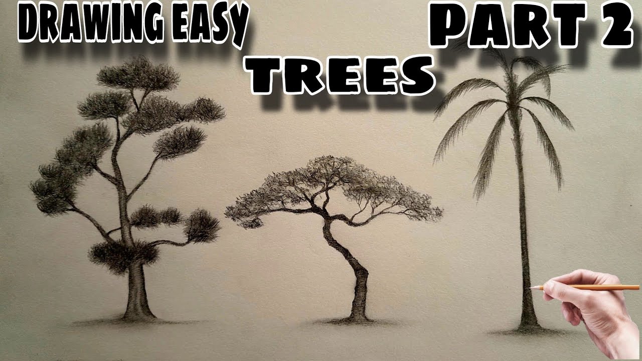 How to draw easy trees | Drawing for beginners step by step... - YouTube