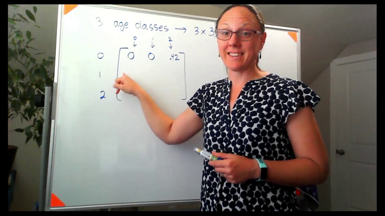 Leslie Matrix - from population description to a a matrix - YouTube