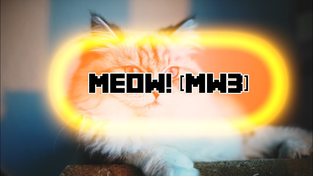 MEOW! (MW3) - YouTube