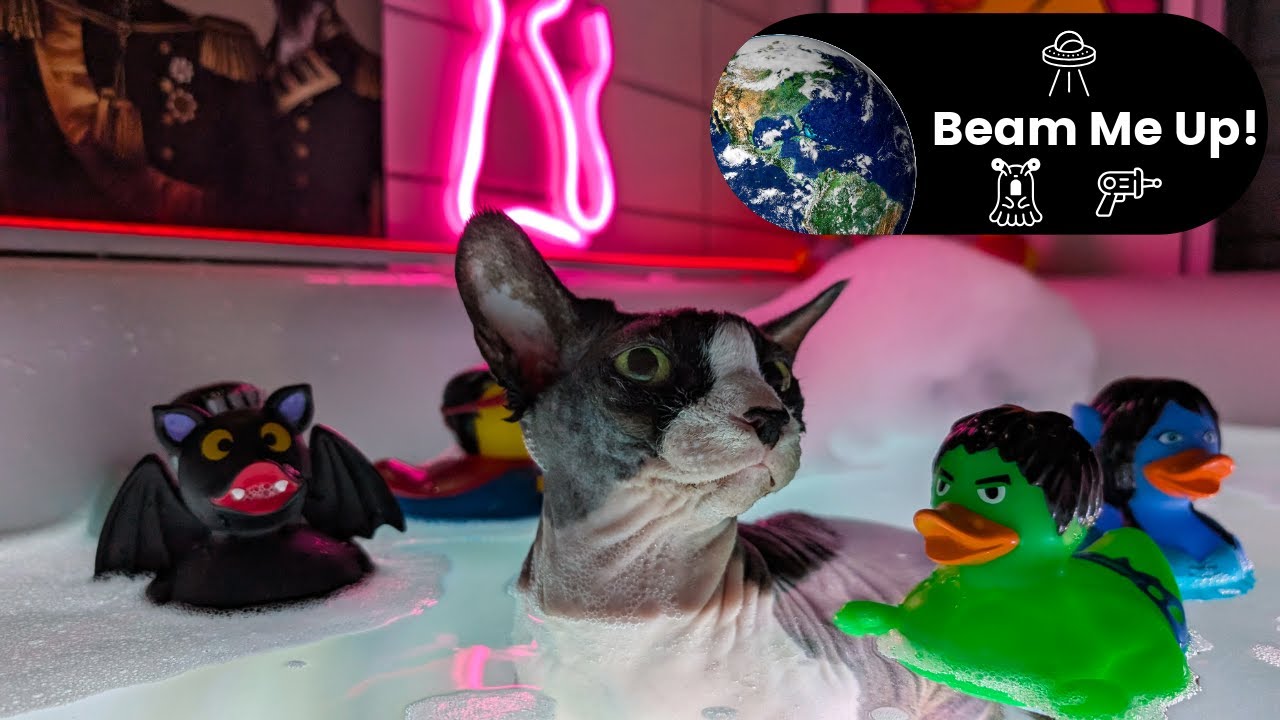 The Universe’s Last Hope: A Cat, A Co-Pilot, and A Thousand Ducks - YouTube