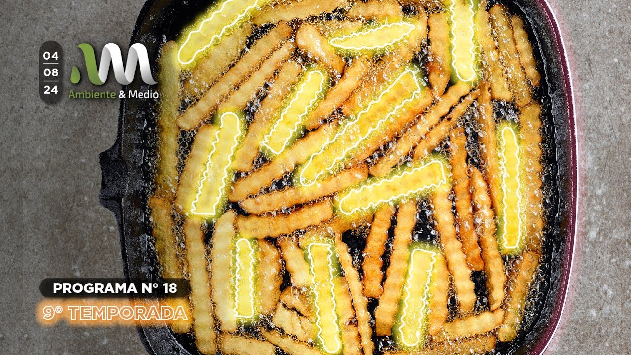 Programa 18 - 9ª Temporada Ambiente y Medio - 04/08/2024 - YouTube