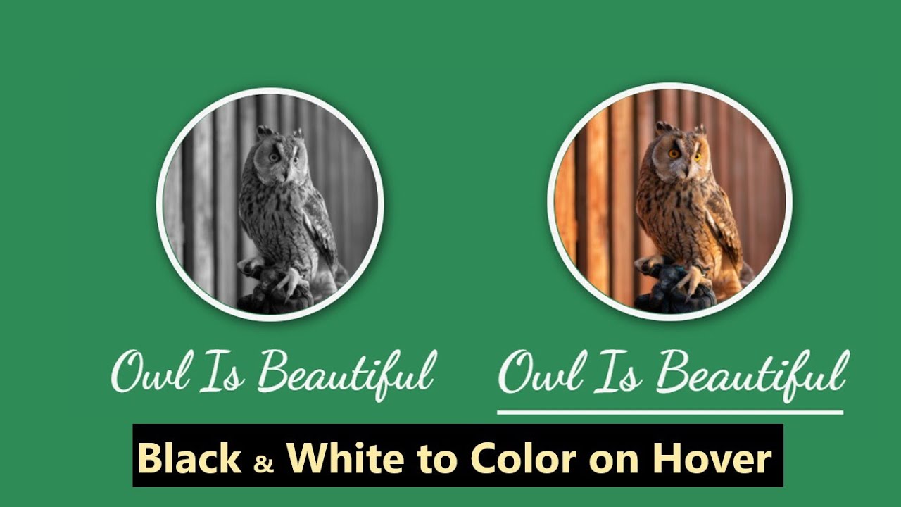 Black White To Color On Hover Html Css 2021 YouTube black-white-to-color-on-hover-html-css-2021-youtube