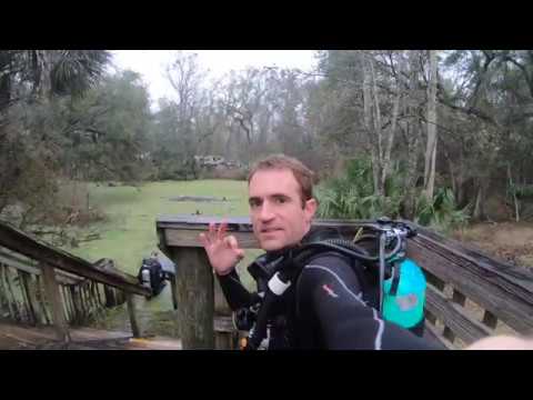 Manatee Spring - Catfish Hotel - Cavern Diving - January 2019 - YouTube