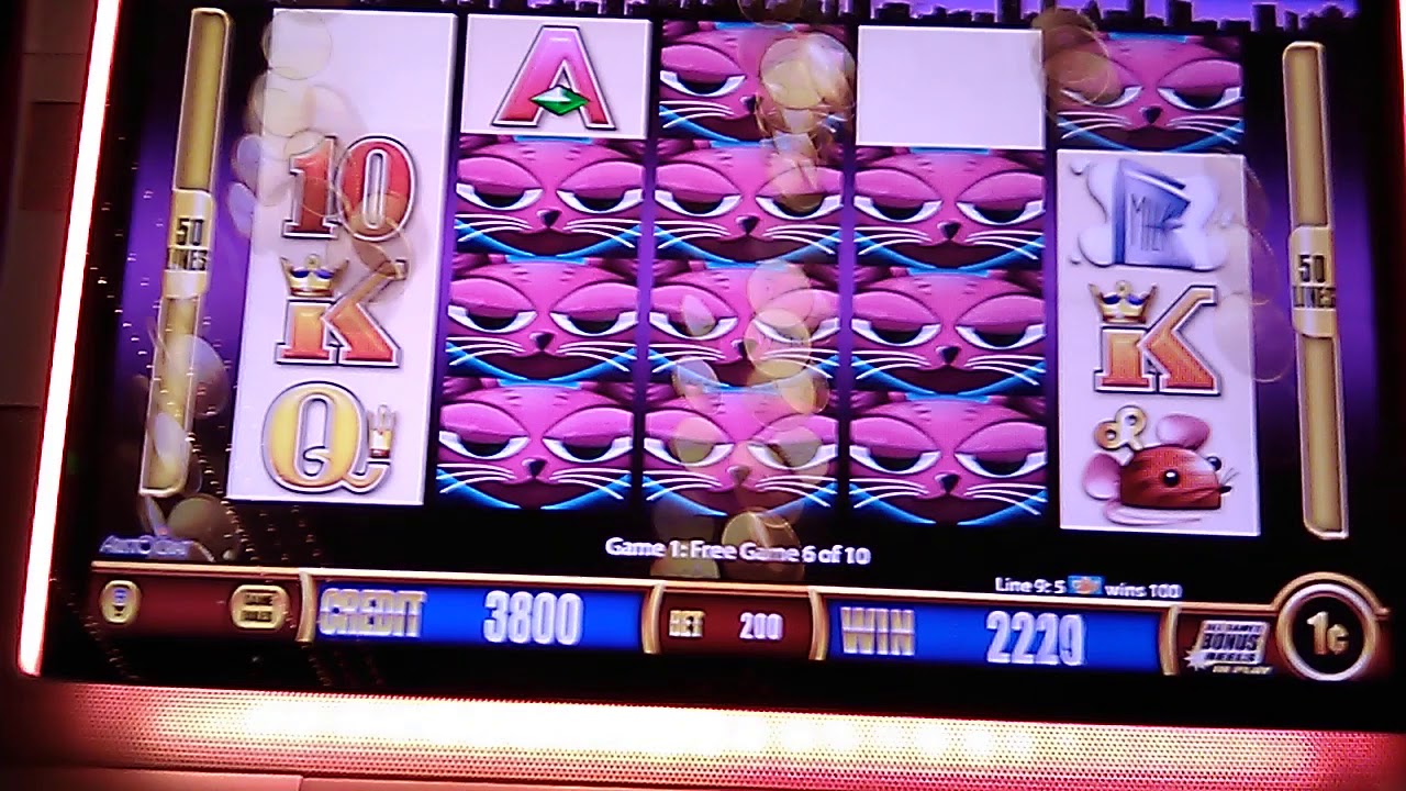 Wonder 4 Slot Machine Miss Kitty - YouTube