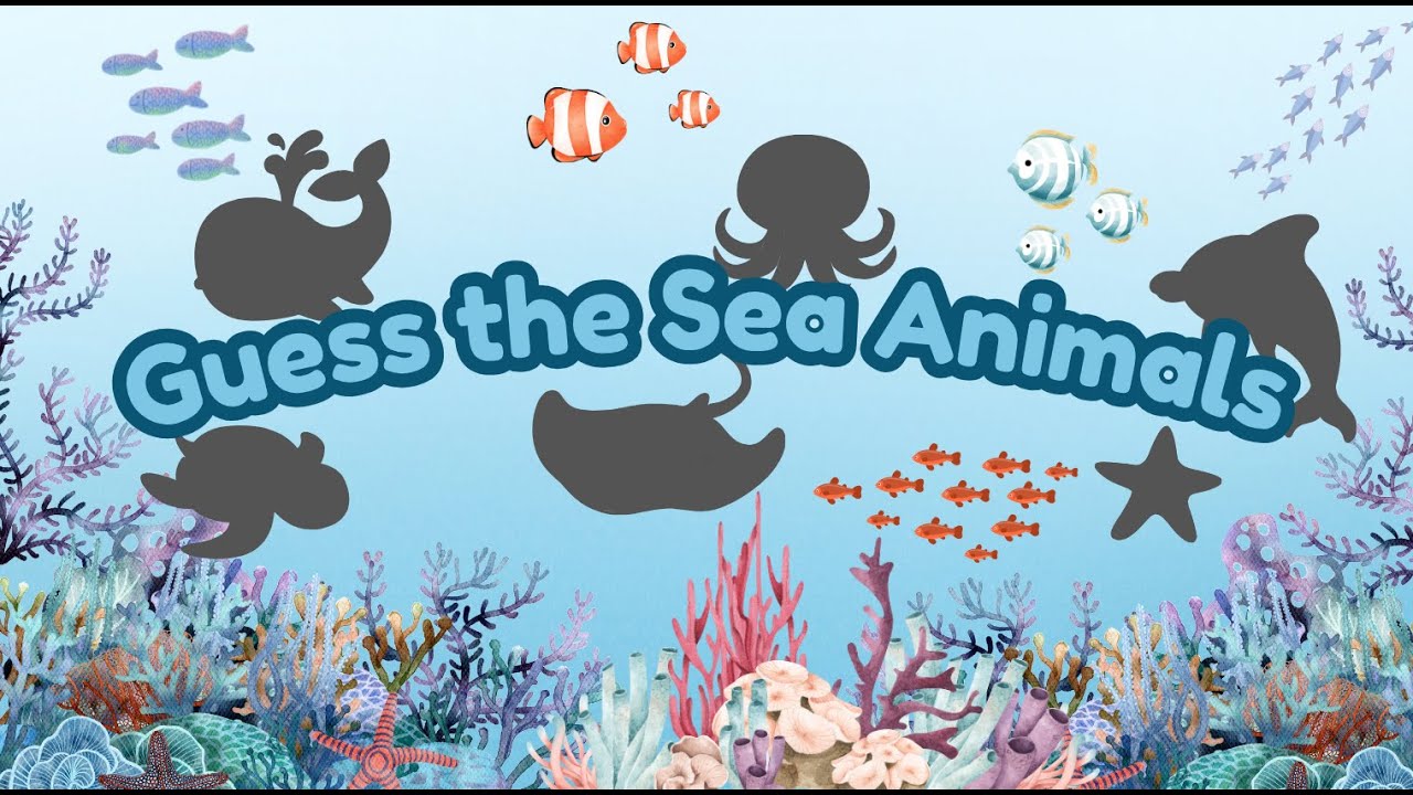 Guess the Sea Animals for Kids | Learn Ocean Animal Names and Shadows ...
