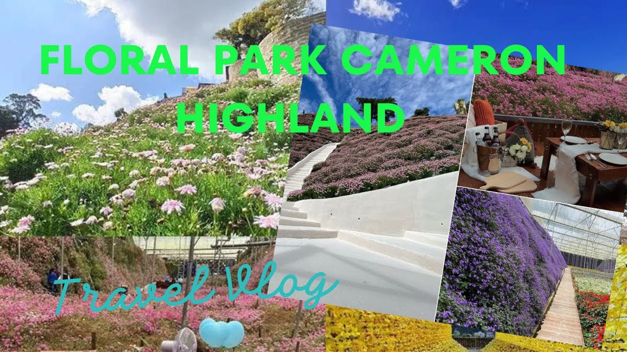 Flora Park Cameron Highland Travel Vlog. - YouTube