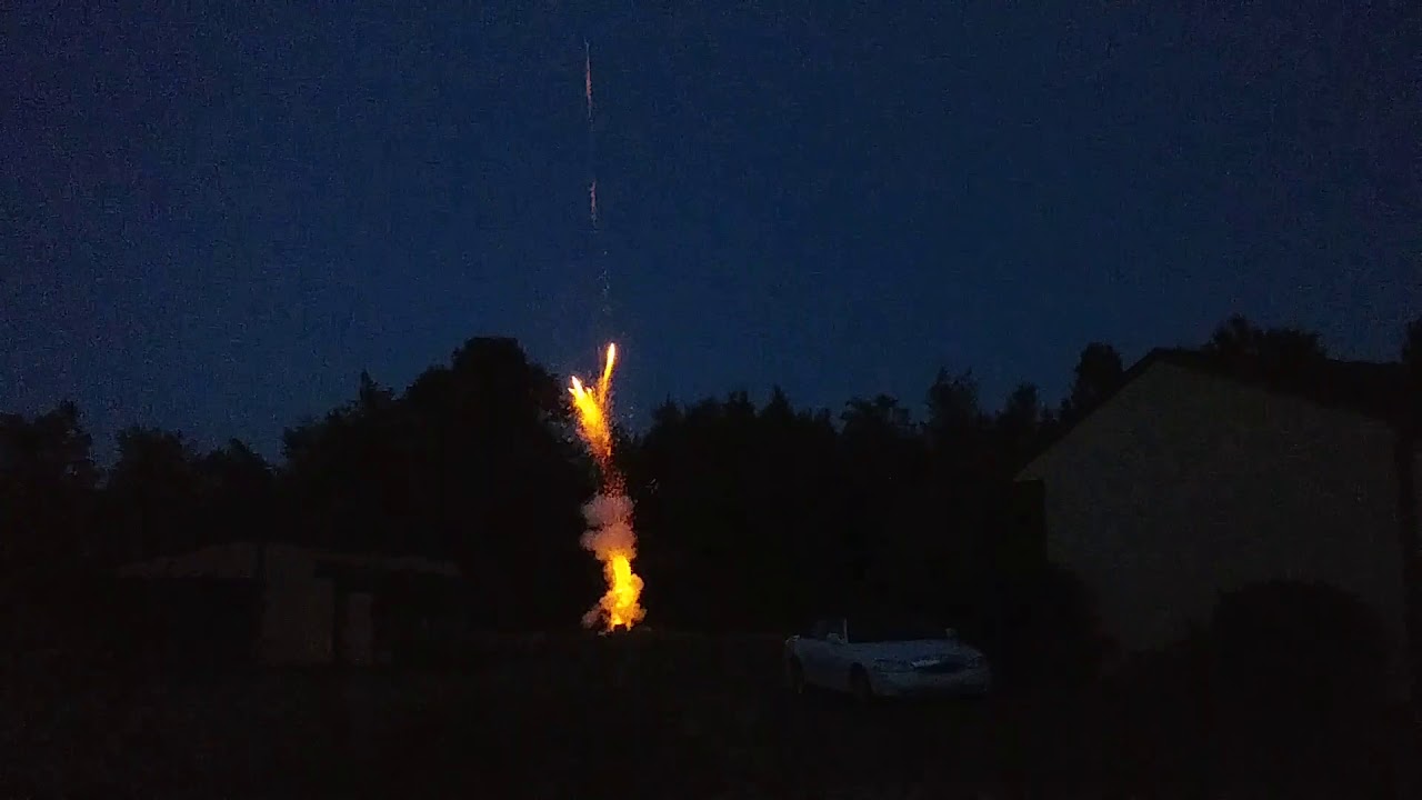 6 inch octapus shell - YouTube