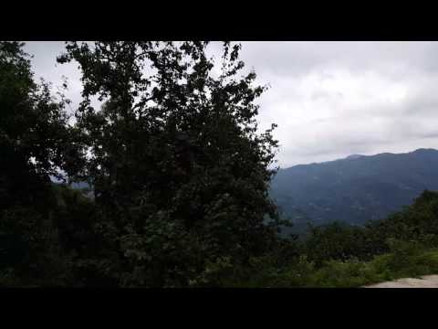Tek ihtiyacın olan şey benim aşk
