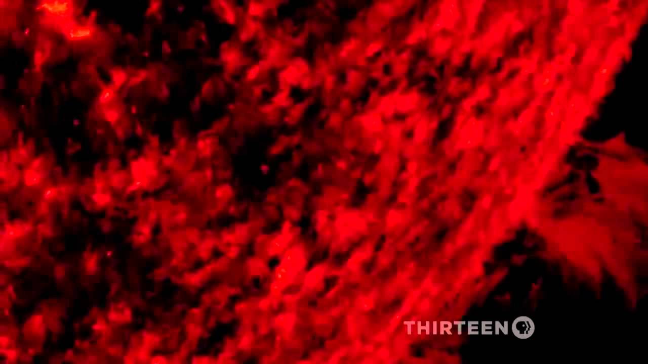 Secrets of the Sun documentary english in HD part 1 - YouTube