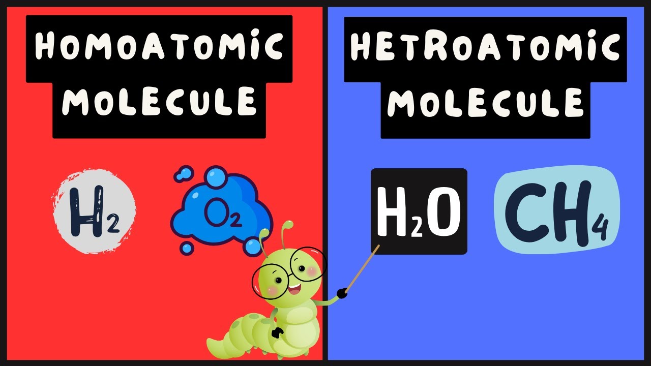 Homoatomic and Heteroatomic Molecules | Chemistry - YouTube