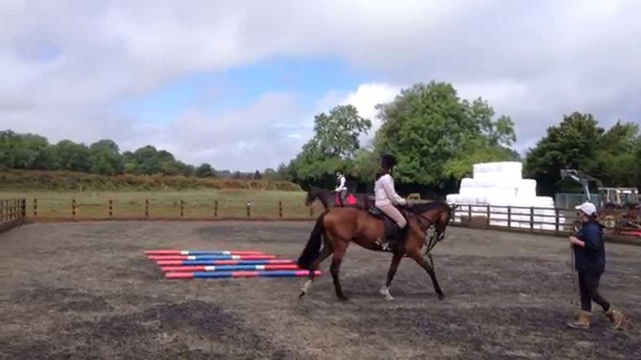 Libby riding lesson 2014 - YouTube