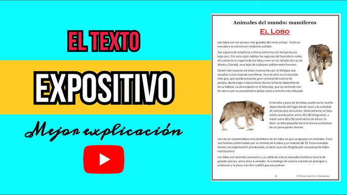 Que Es Un Texto Expositivo Y Sus Caracteristicas Resumen Facil Nbkomputer