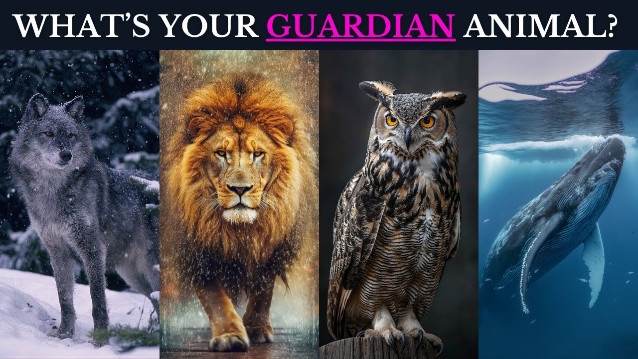 What is your Guardian Animal?🦁🦊 Find out by taking the quiz. - YouTube