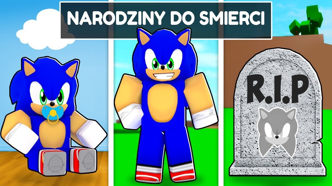 SONIC OD NARODZIN DO ŚMIERCI W BROOKHAVEN RP! - YouTube
