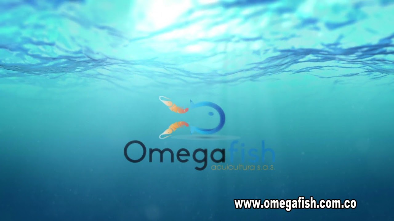 OmegaFish Acuicultura intro - YouTube