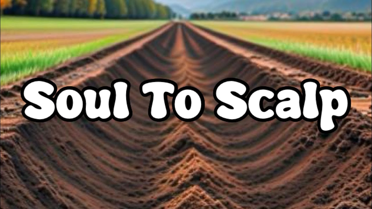 Soul To Scalp - YouTube