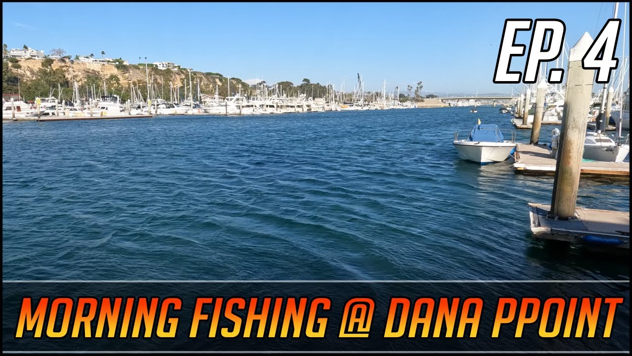 Ep. 4 - Catching all kinds of fish at Dana Point Harbor! Bass trifecta ...