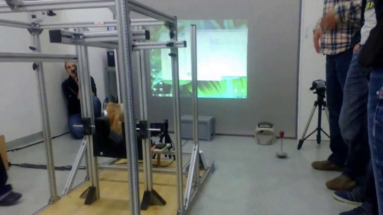 Clever Dog Lab - Messerli Research Institute, Vienna ; Part 3 - YouTube