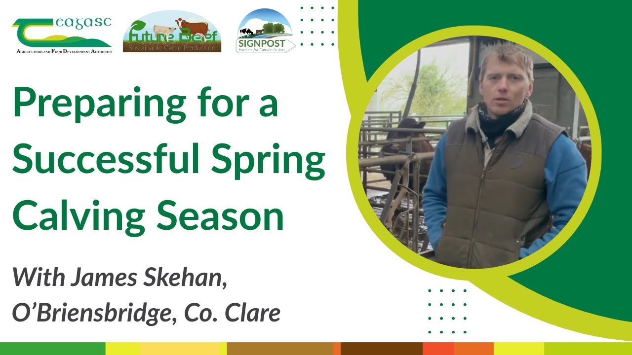 Preparing for a Successful Spring Calving Season - James Skehan - YouTube
