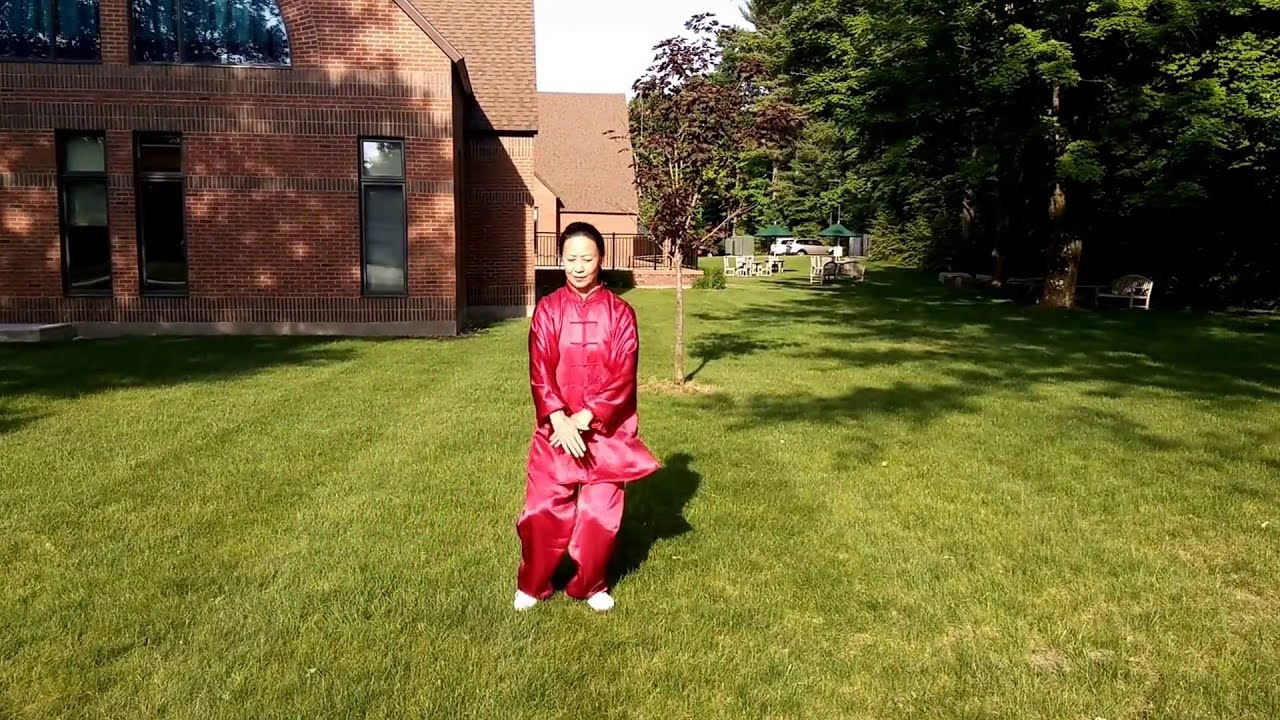 Traditional Tai Chi, Yang Style, Form 8 - YouTube