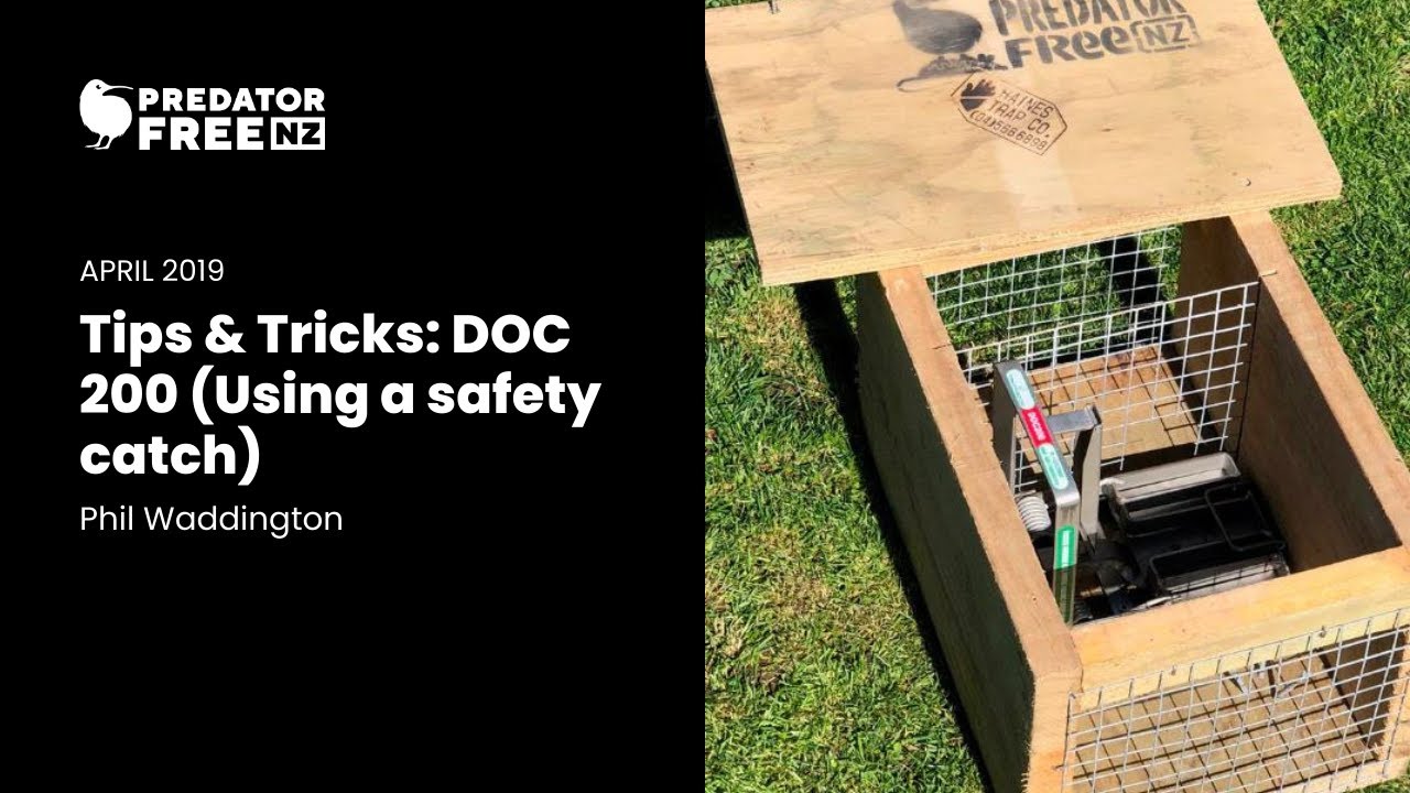 Predator Control Tips & Tricks: DOC 200 (Using a safety catch) - YouTube
