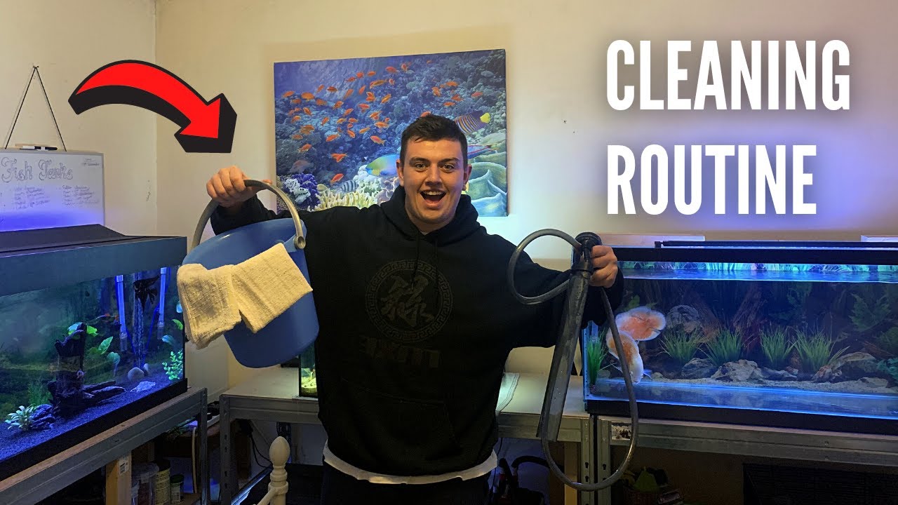 My FISH TANK CLEANING ROUTINE!!! - YouTube