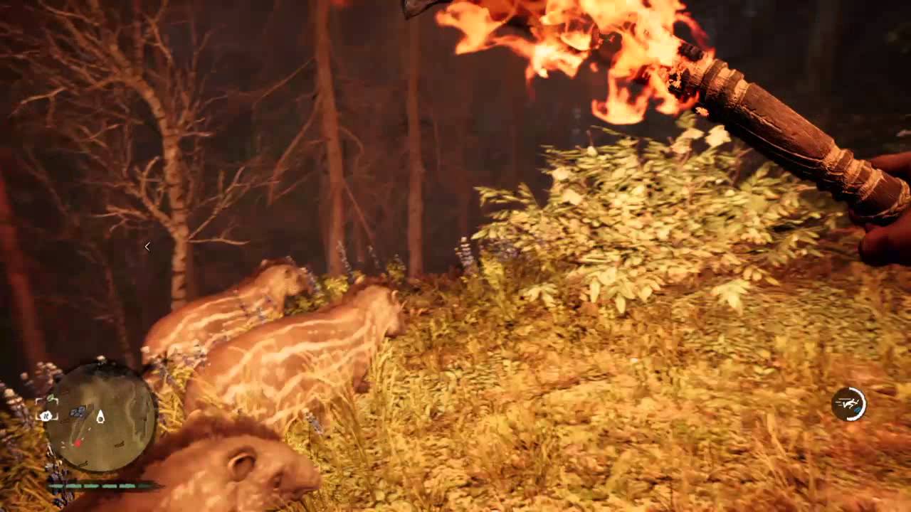 Far Cry Primal Saber Tooth Tiger vs Tapir - YouTube