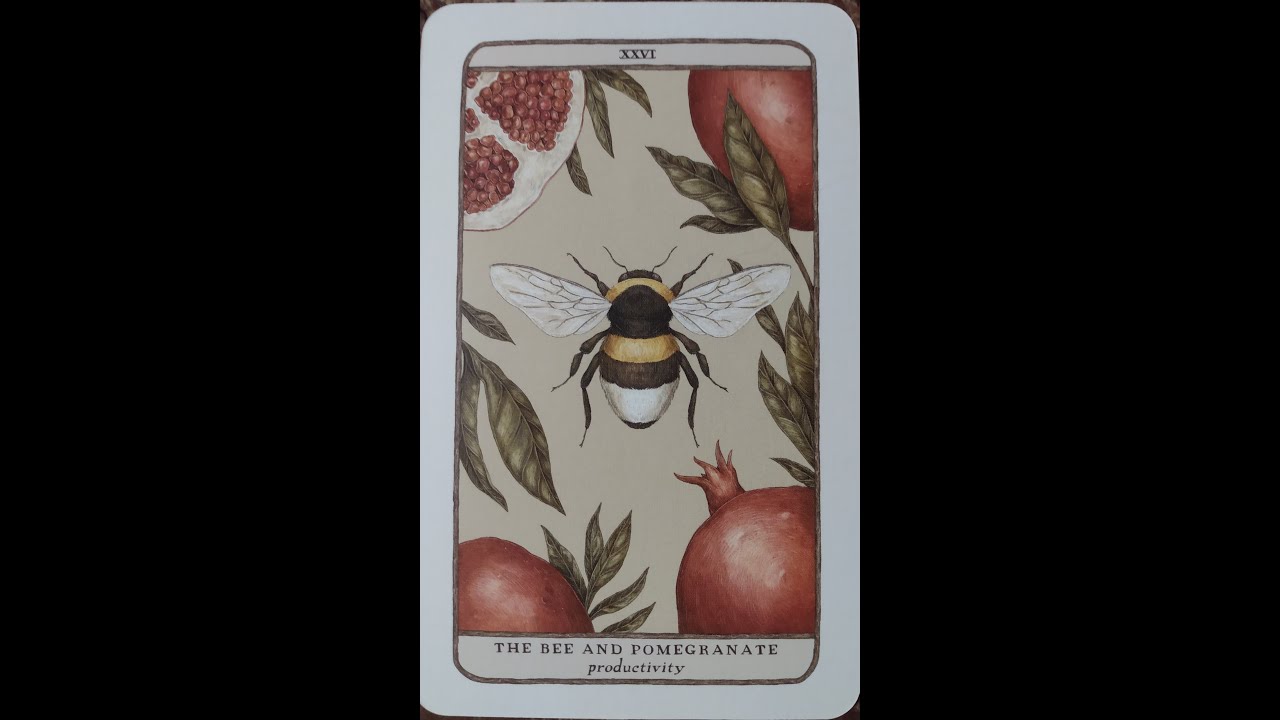 **🌱💪🌻SOW YOUR SEEDS🤝🤑🥰** | Collective Energy Reading - XXVI BEE ...