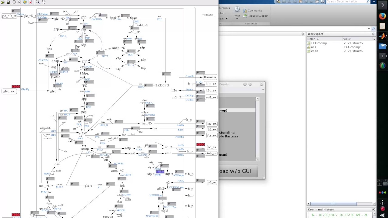 CNA Tutorial 1: start CNA, load a project, flux analysis - YouTube